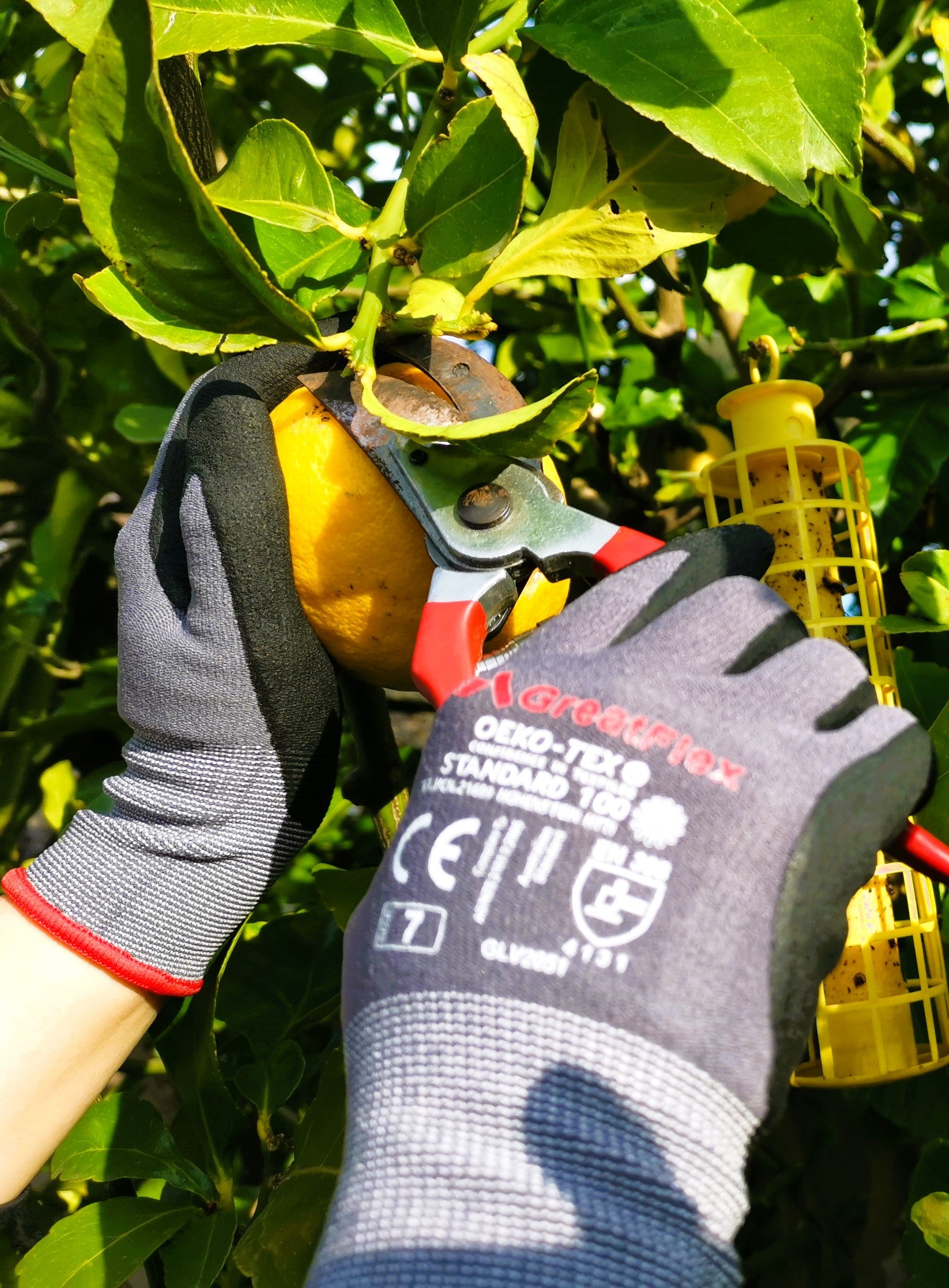 Nitrile Work Safety Gloves SupaFlex Maxiflex GreatFlex (Pack of 12,from ...